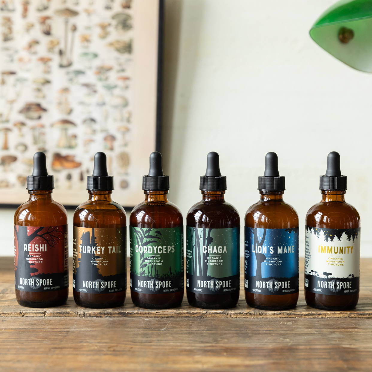 Medicinal Mushroom Tincture: How to Benefit From Using Them | North Spore