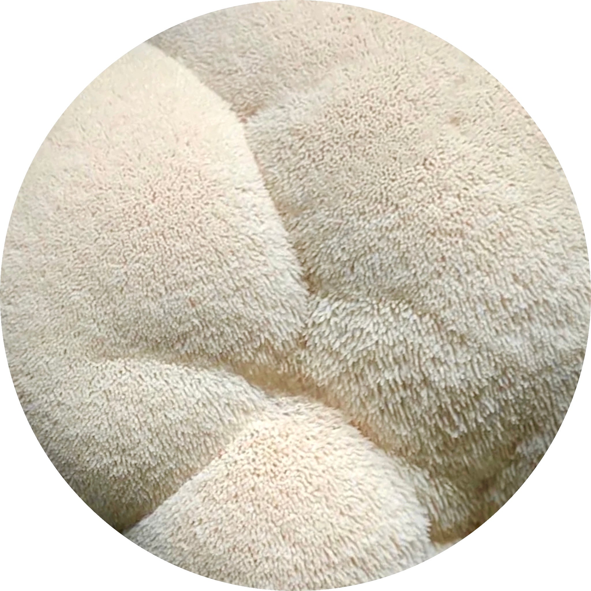 Grow Lion's Mane Mushrooms | North Spore – tagged "lion's mane"
