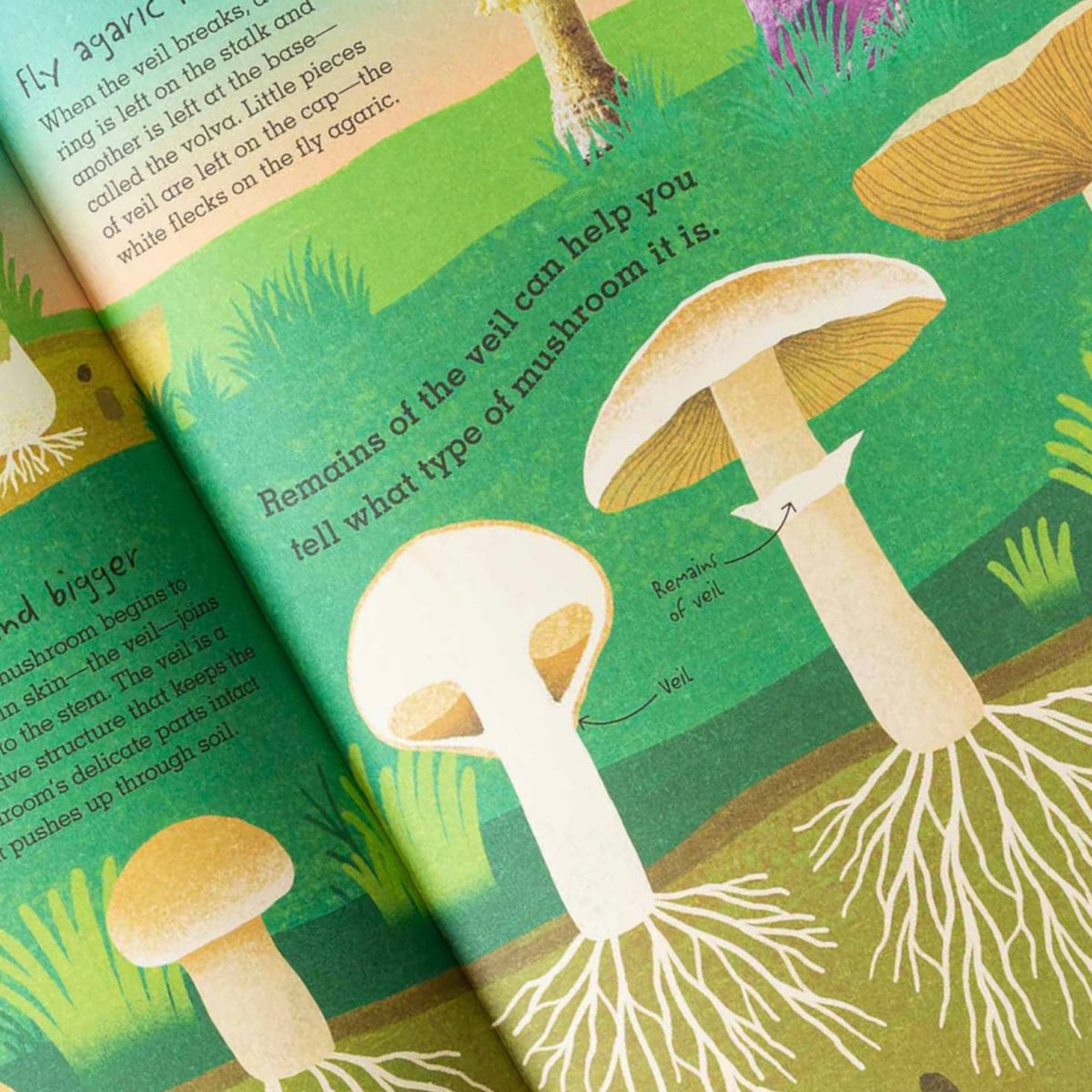 Kids & Family Books – North Spore