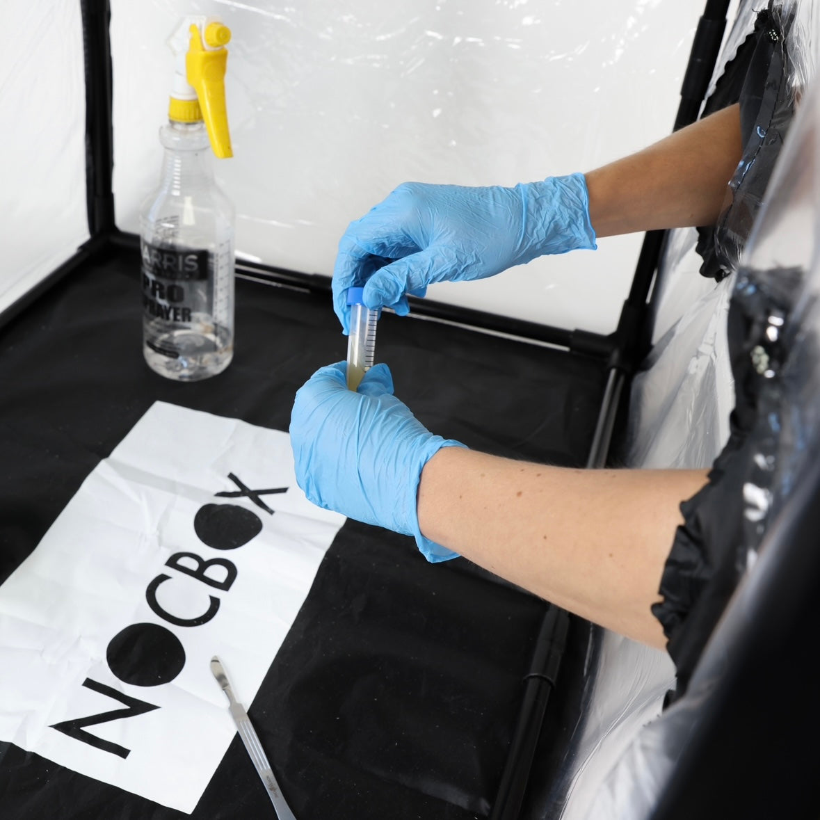 Still Air Boxes | Mycology Supplies – North Spore