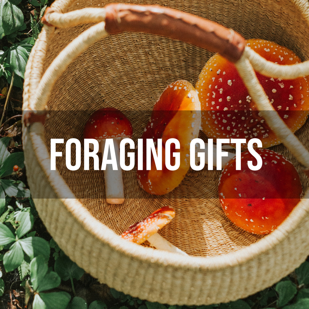 Foraging Gifts – North Spore