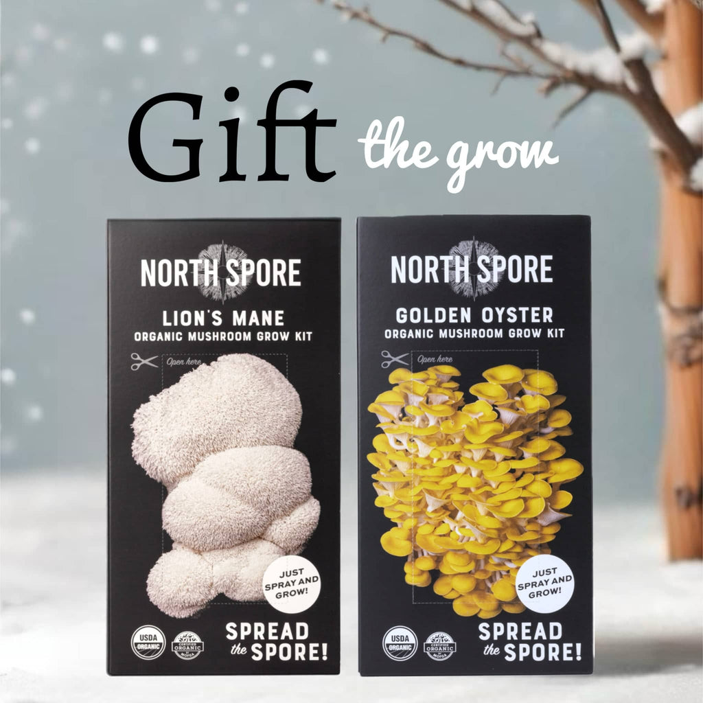 Gift a Year of Mushrooms – North Spore