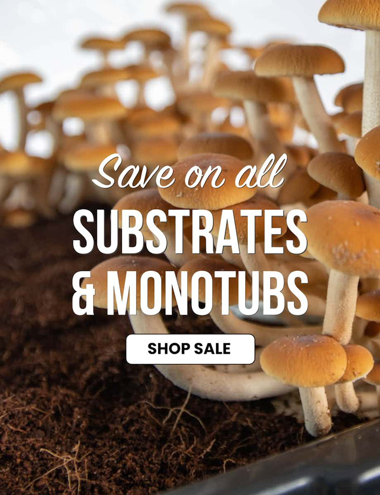 North Spore | Premium Mushroom Growing Supplies