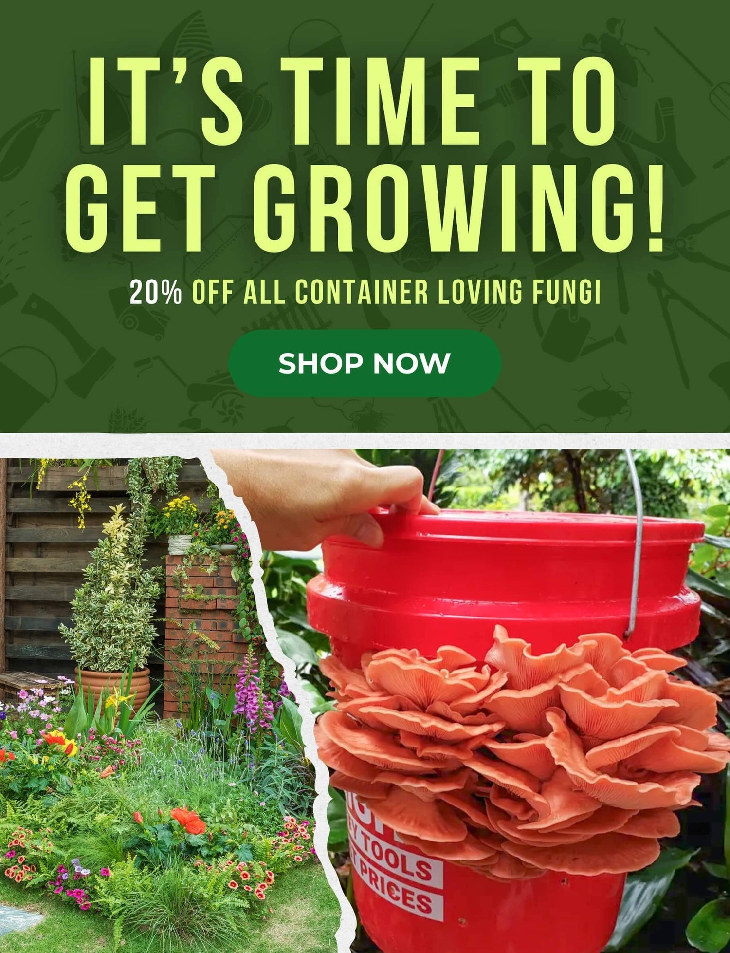 North Spore | Premium Mushroom Growing Supplies