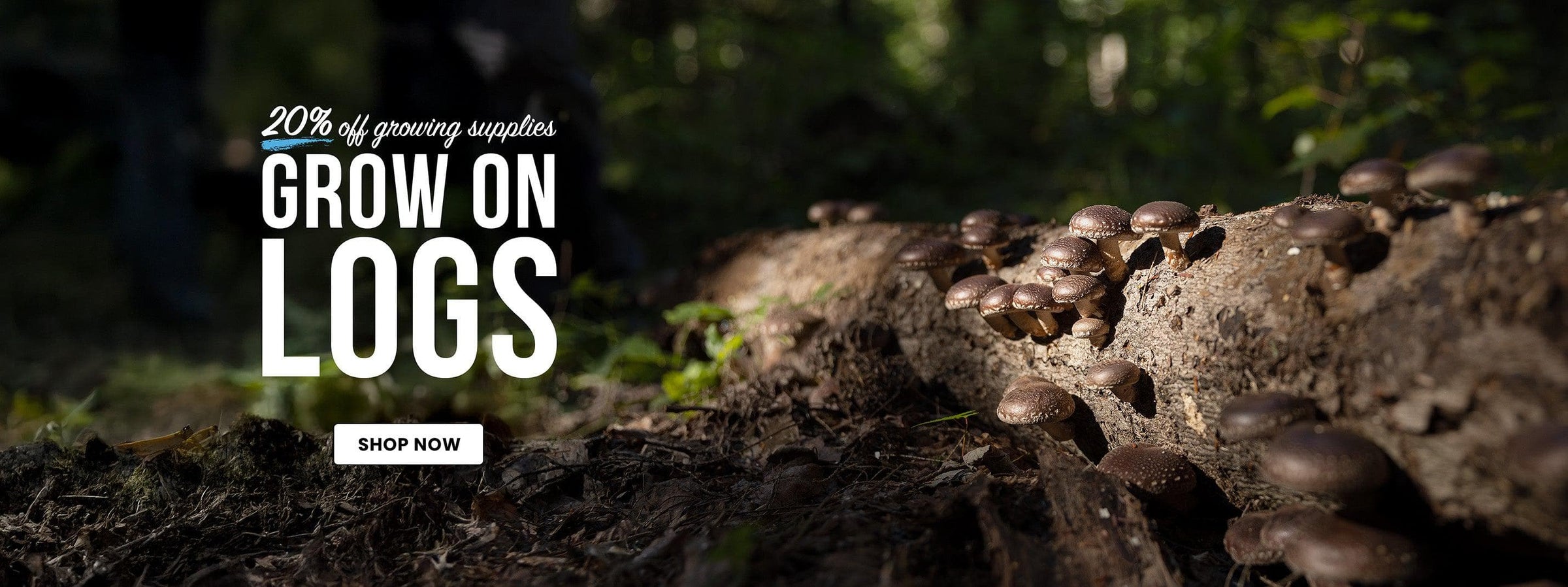 North Spore | Premium Mushroom Growing Supplies