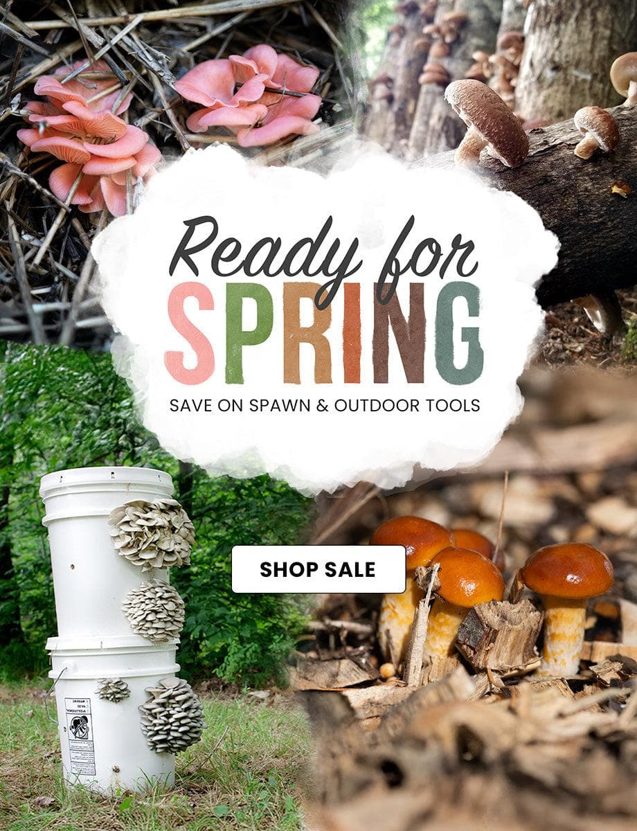 North Spore | Premium Mushroom Growing Supplies