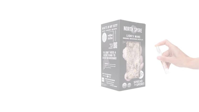 Beginner Mushroom Kits & Spawn – North Spore