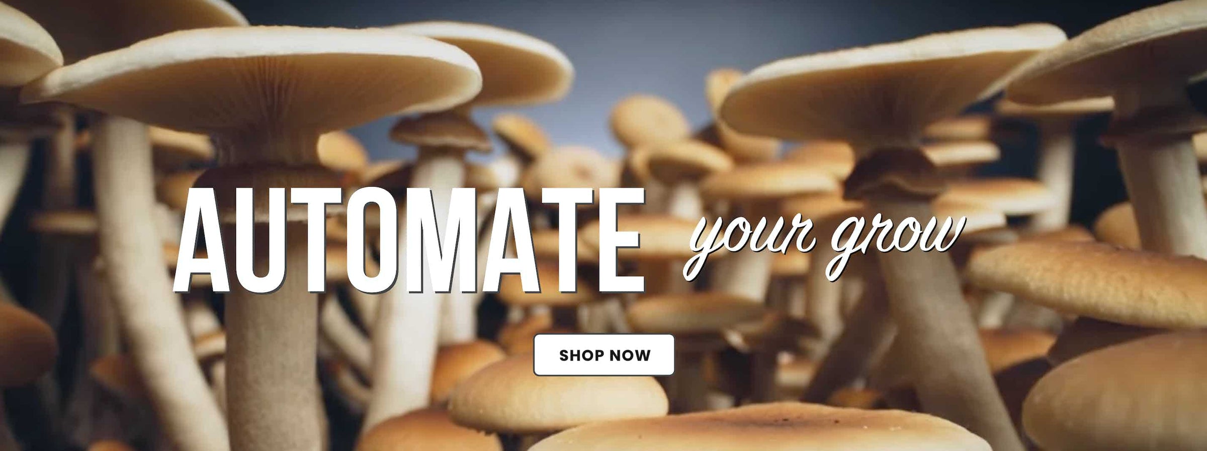 North Spore | Premium Mushroom Growing Supplies