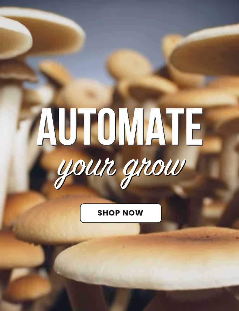 North Spore | Premium Mushroom Growing Supplies