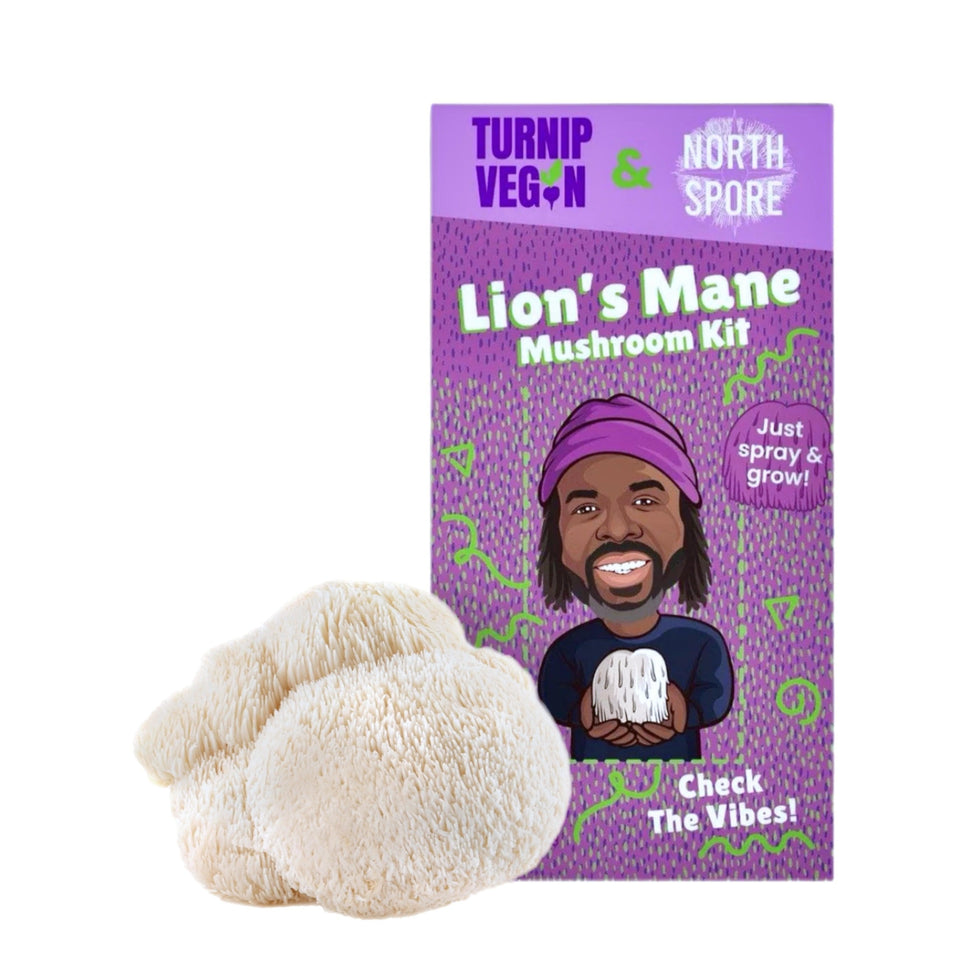 Turnip Vegan Lion's Mane Mushroom Growing Kit – North Spore