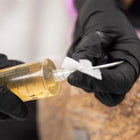 30x Syringe Multiplier & Spore Germination Liquid Culture Kit – North Spore