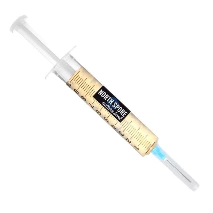 Pestalotiopsis Microspora Liquid Culture Syringe | North Spore