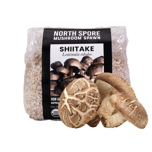 Organic Mushroom Grain Spawn – Lion's Mane, Reishi & More at North Spore