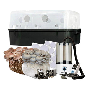 Monotubs & Monotub Kits | Grow Mushrooms – North Spore