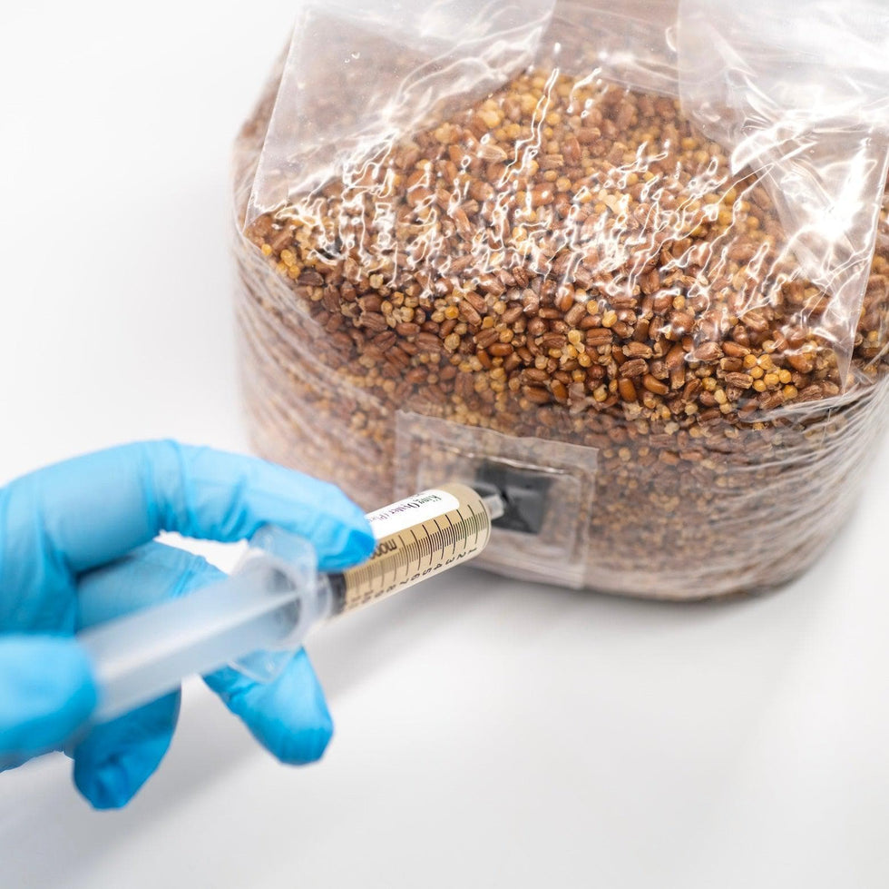 Boomr Bin Monotub Mushroom Grow Kit | North Spore