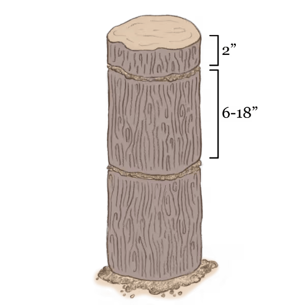 How to Grow Mushrooms on Logs, Pillars, and Stumps – North Spore