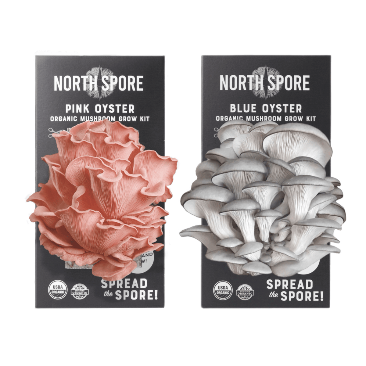 Spray & Grow Kit Subscription – North Spore