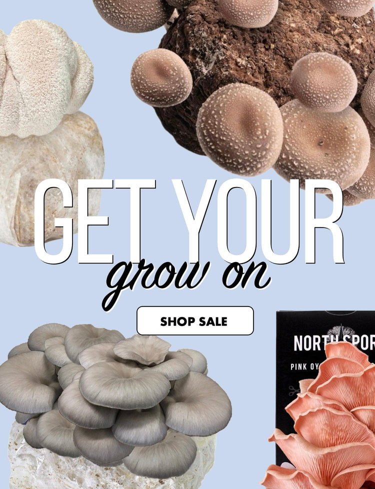 North Spore | Premium Mushroom Growing Supplies