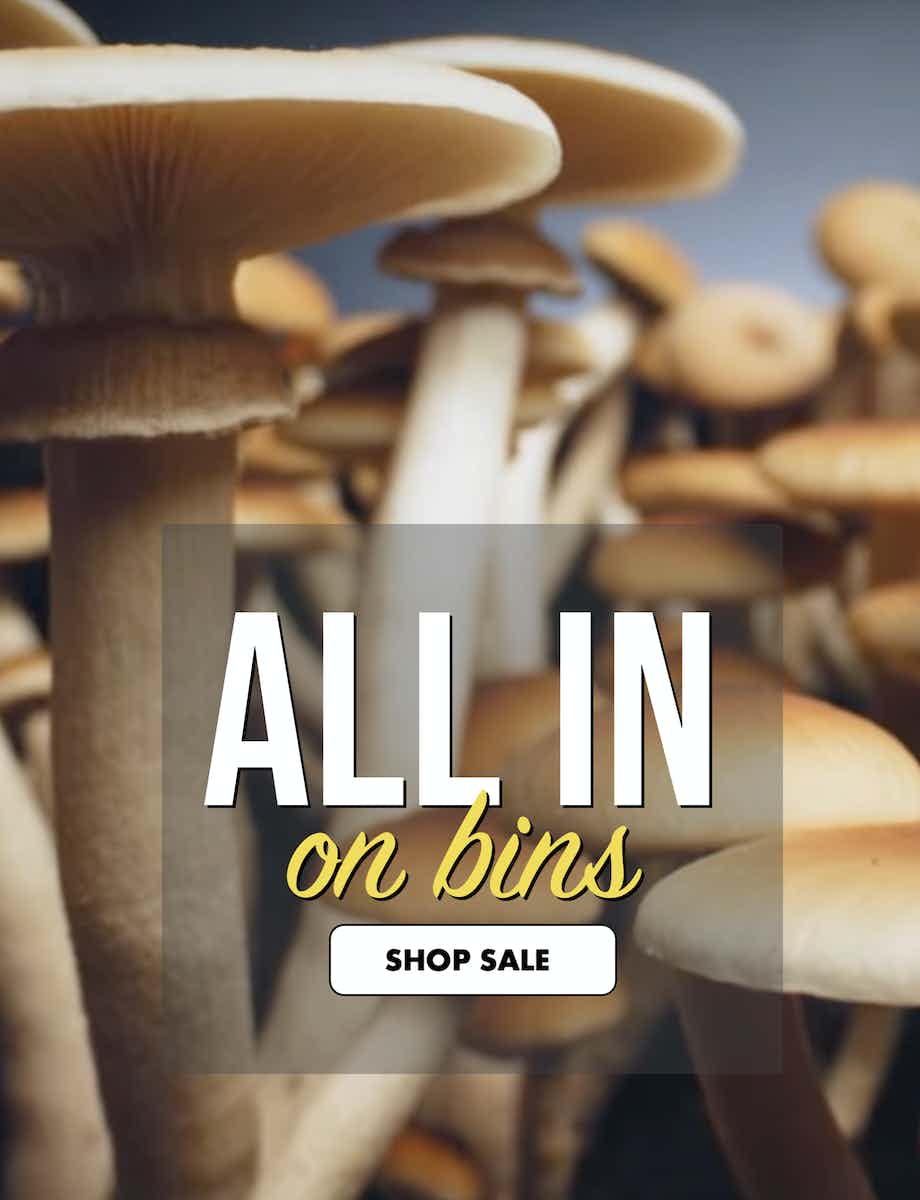 North Spore | Premium Mushroom Growing Supplies