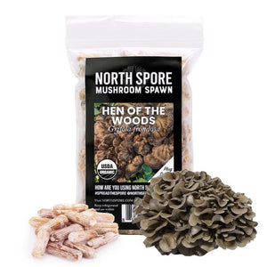 Organic Mushroom Plug Spawn | Grow on Logs, Stumps & Totems – North Spore
