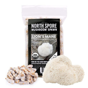 Organic Mushroom Plug Spawn | Grow on Logs, Stumps & Totems – North Spore