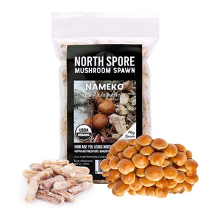 Organic Mushroom Plug Spawn | Grow on Logs, Stumps & Totems – North Spore