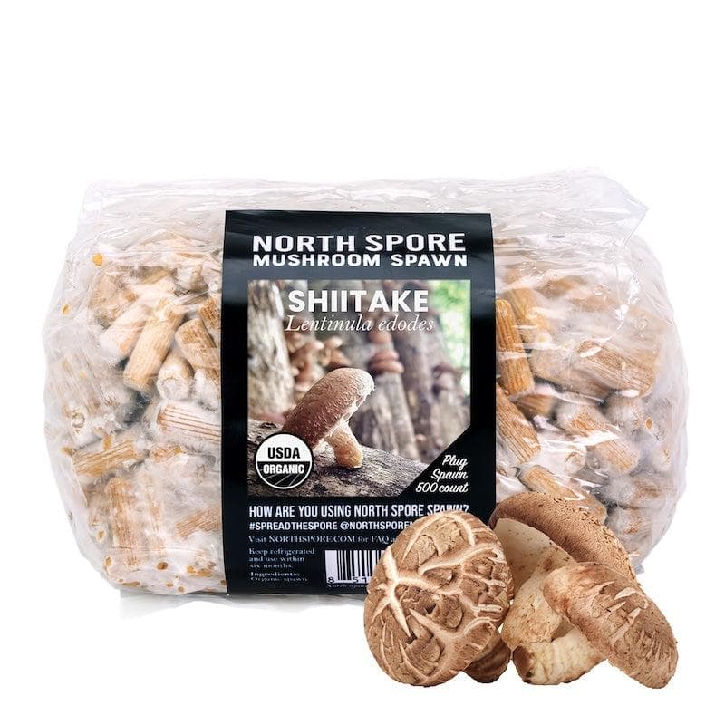 Organic Shiitake Mushroom Plug Spawn – North Spore
