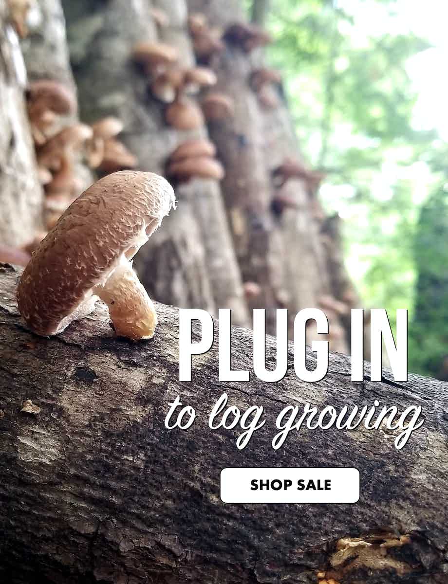 North Spore | Premium Mushroom Growing Supplies