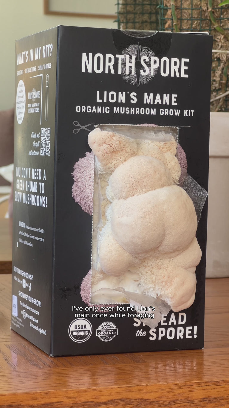 Mushroom Growing Supplies from the Experts at North Spore