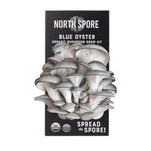 Beginner Mushroom Grow Kits | Easy Indoor Organic Growing – North Spore