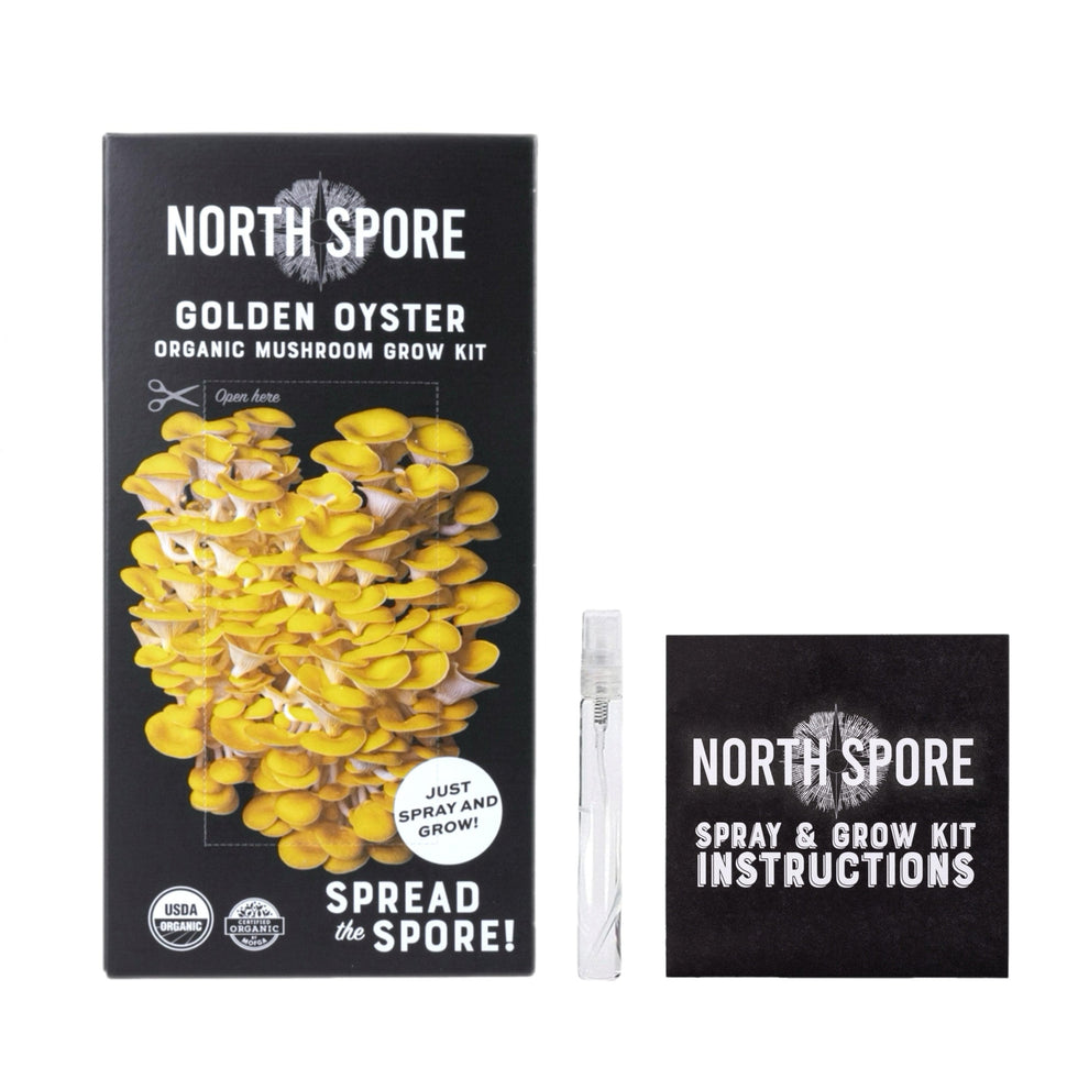 Organic Golden Oyster 'Spray & Grow' Mushroom Growing Kit – North Spore