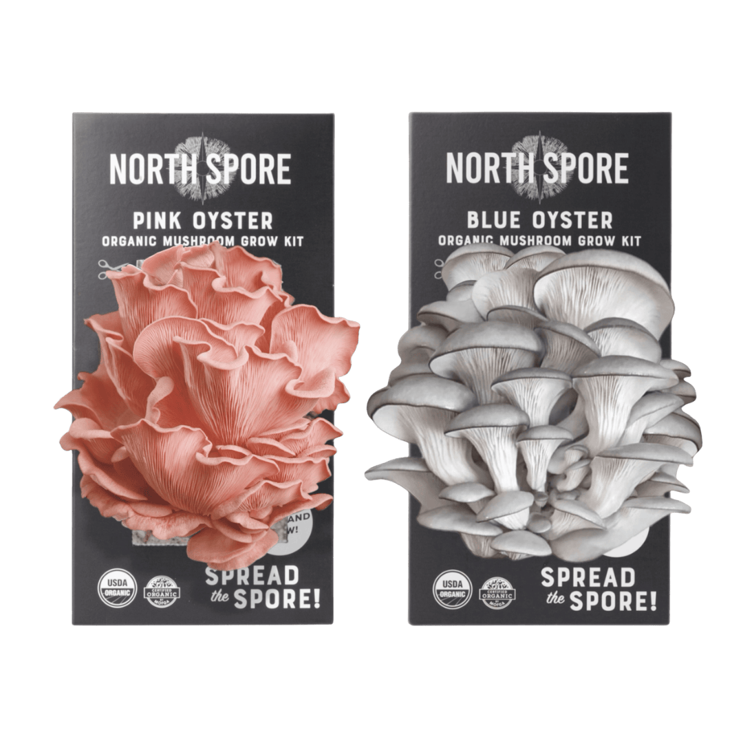 Spray & Grow Kit Subscription – North Spore