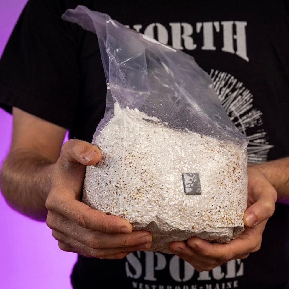 Organic Sterilized Grain Bag | Best Sterilized Spawn Bag for Mushroom ...