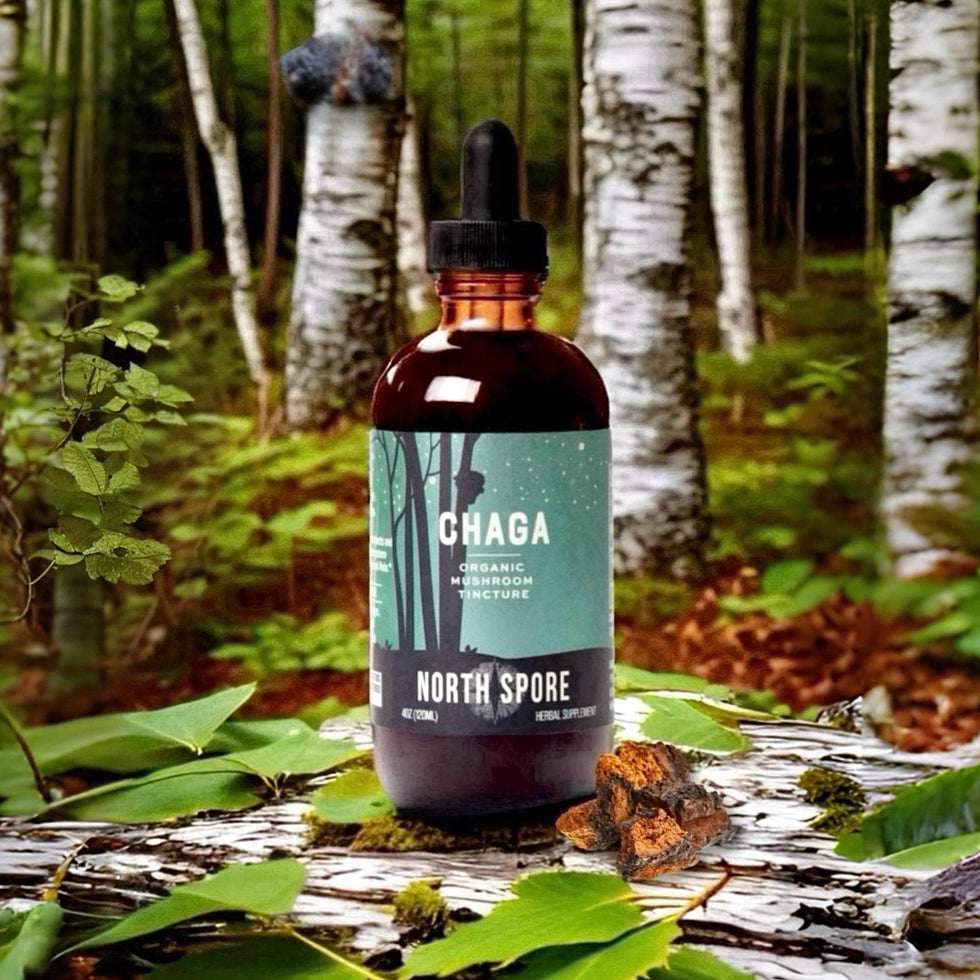 Dual-Extracted Chaga Mushroom Tincture | North Spore