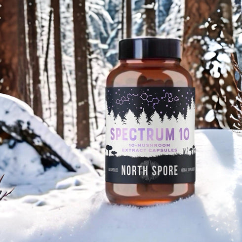 Organic 'Spectrum 10' Mushroom Capsules – North Spore