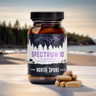 Organic 'Spectrum 10' Mushroom Capsules – North Spore