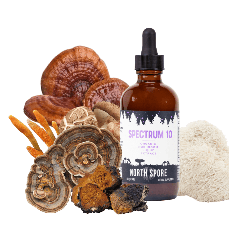 Organic Spectrum 10 Mushroom Blend Tincture | North Spore