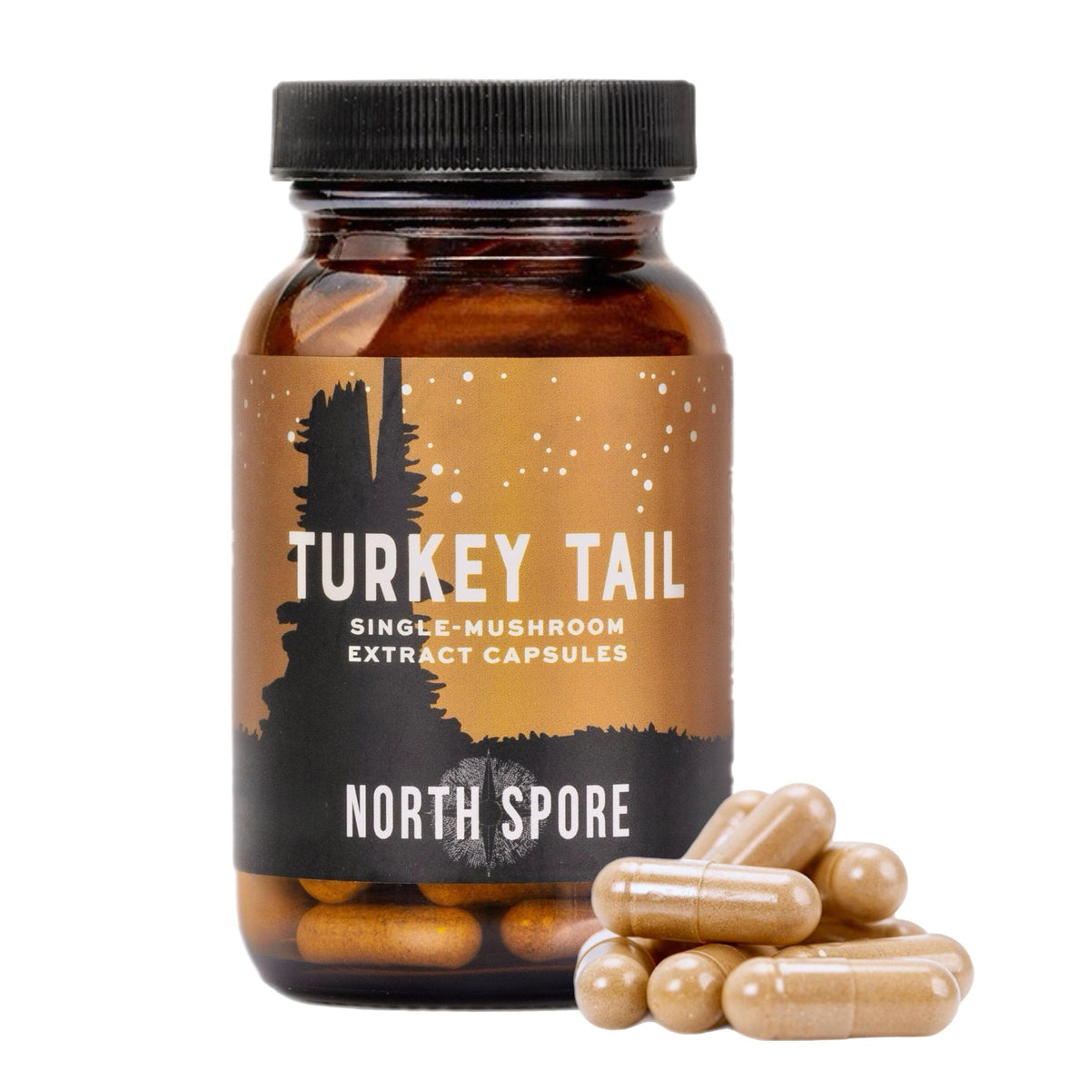 Organic Turkey Tail Mushroom Capsules – North Spore