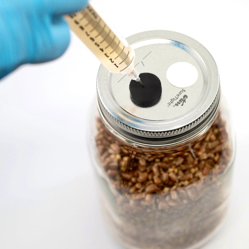 Morel Mushroom Liquid Culture Syringe | North Spore