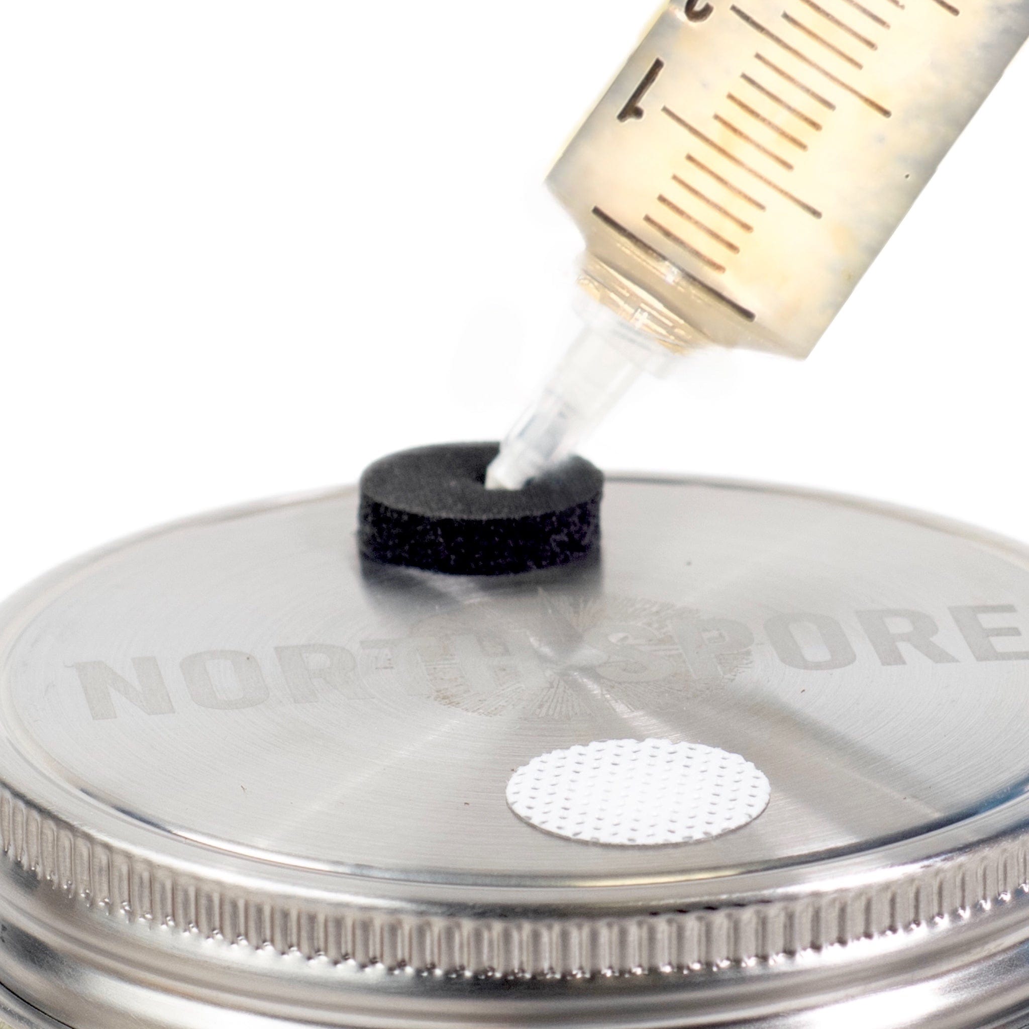 6 pc. 'Regular Mouth' Culture Jar Lid with Port & Filter – North Spore