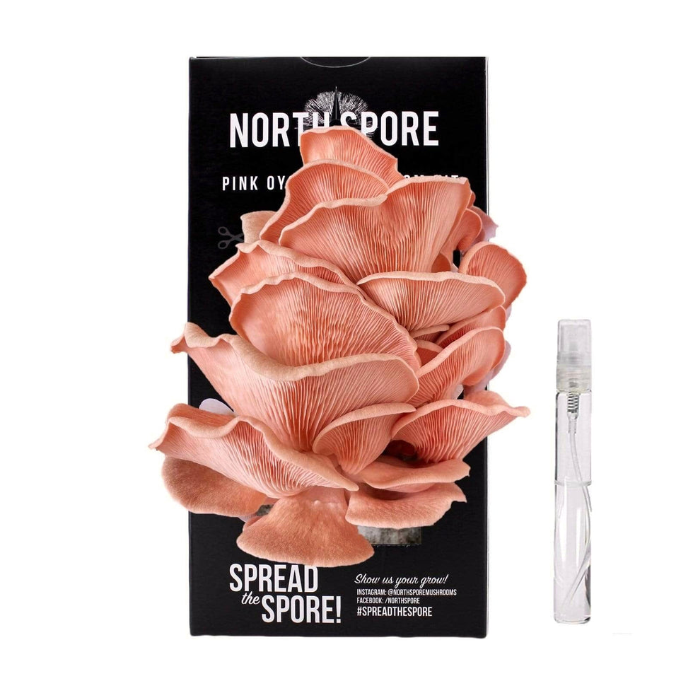 Organic Pink Oyster 'Spray & Grow' Mushroom Growing Kit – North Spore