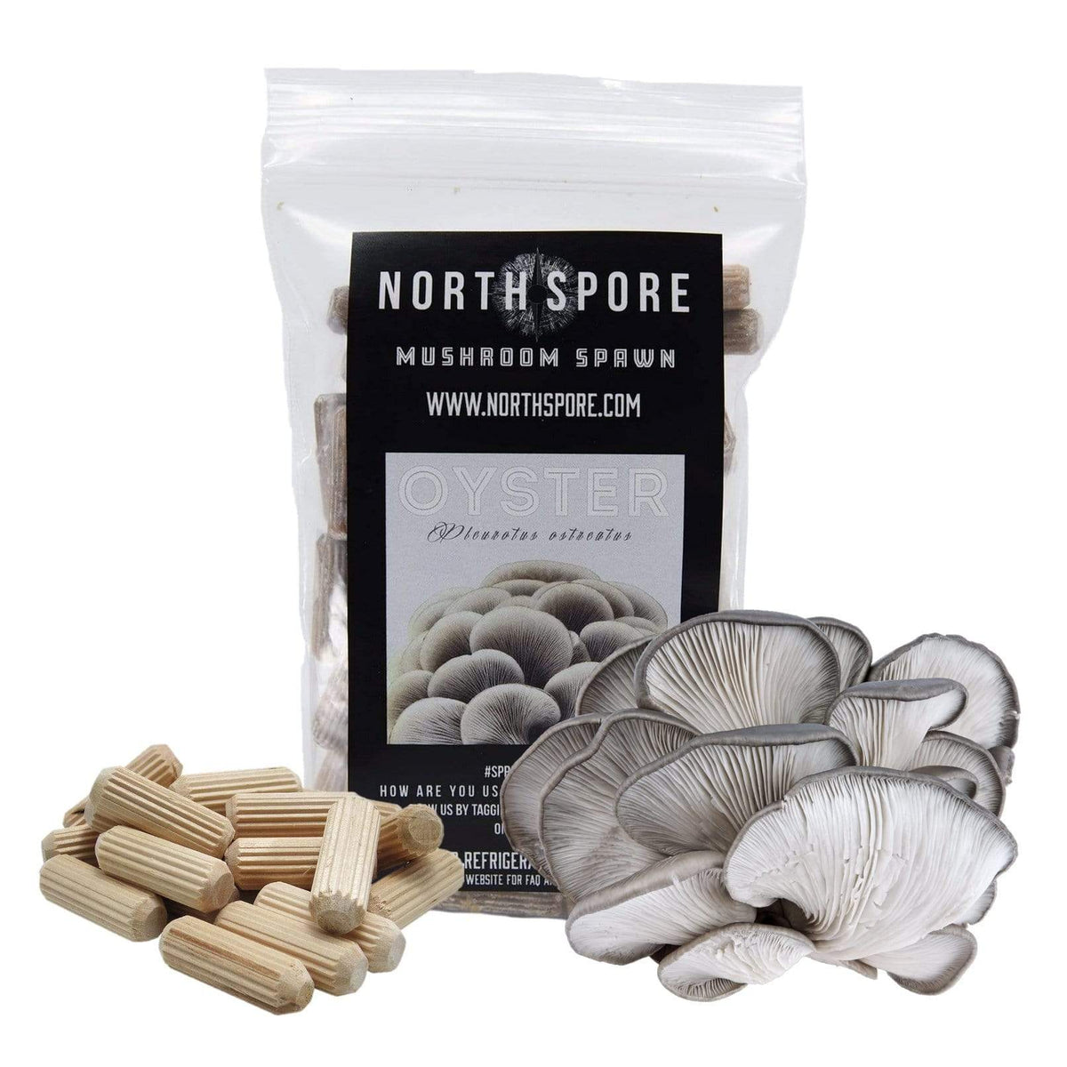 Organic Blue Oyster Mushroom Plug Spawn – North Spore