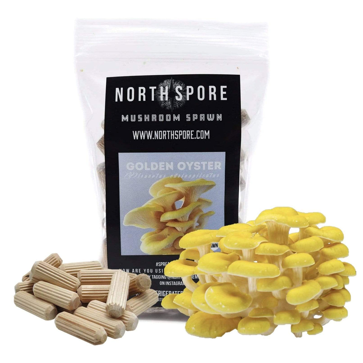 Organic Golden Oyster Mushroom Plug Spawn – North Spore