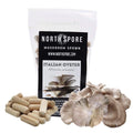 Organic Italian Oyster Mushroom Plug Spawn – North Spore