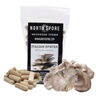 Organic Italian Oyster Mushroom Plug Spawn – North Spore