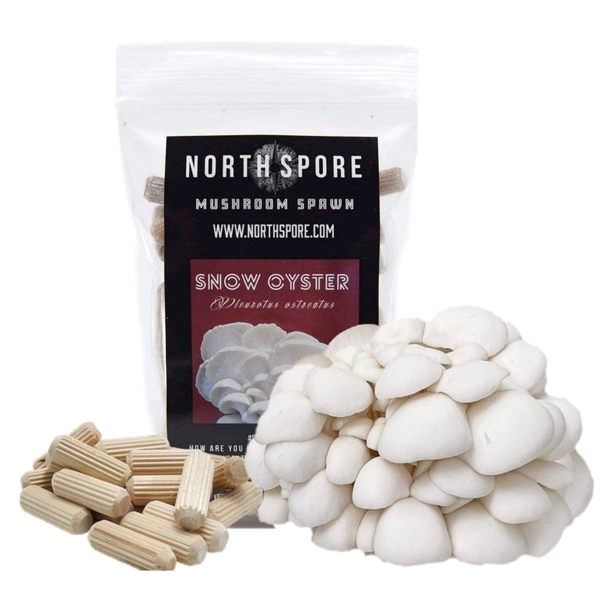 Organic Snow Oyster Mushroom Plug Spawn – North Spore