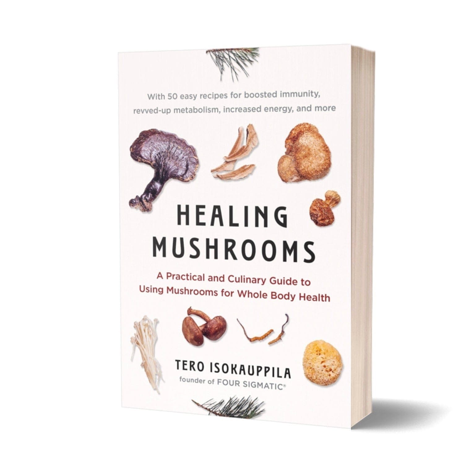 Healing Mushrooms: A Practical and Culinary Guide to Using Mushrooms ...