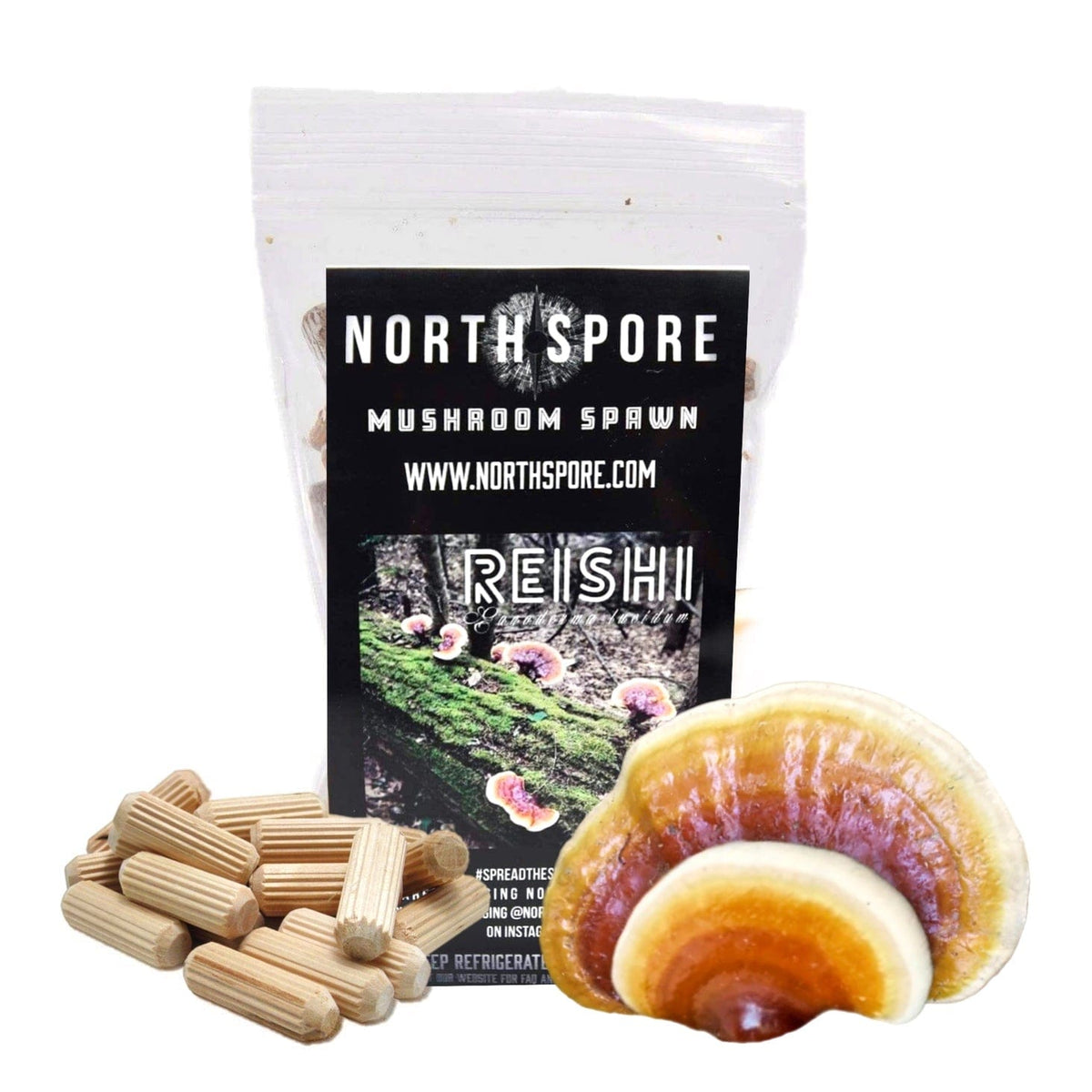 Organic Hemlock Reishi Mushroom Plug Spawn – North Spore