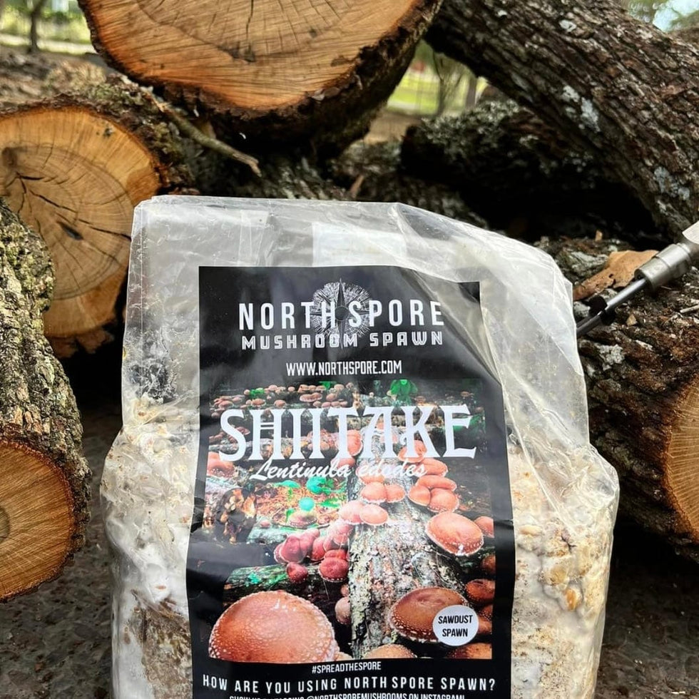 Organic Shiitake Mushroom Sawdust Spawn | North Spore