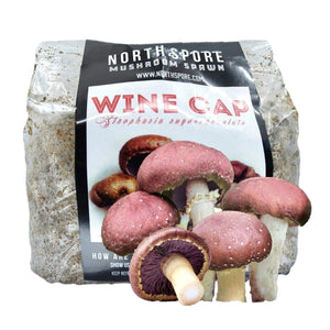 Organic Mushroom Sawdust Spawn | USDA-Certified Organic – North Spore